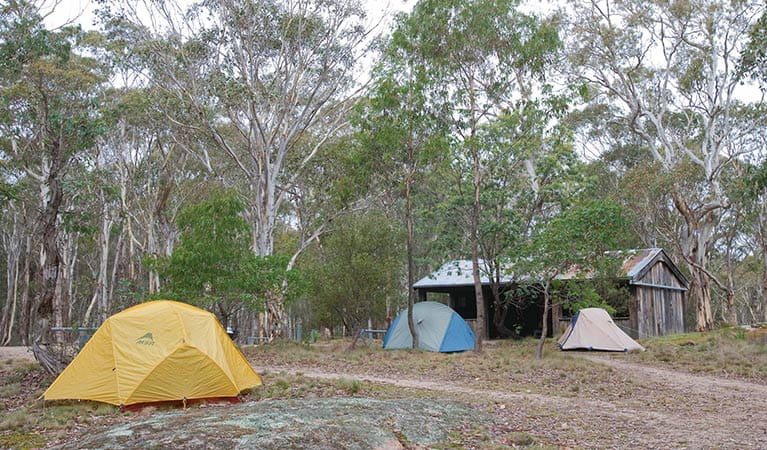 Dingo Dell Camping Reserve