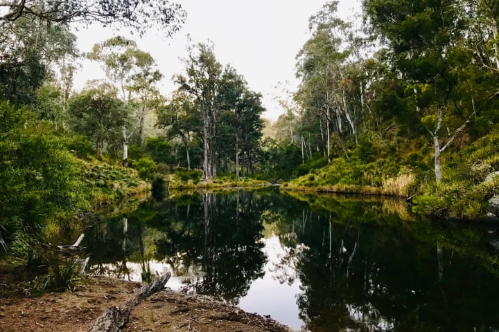 Thungutti campground