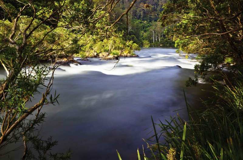 The Junction Campground