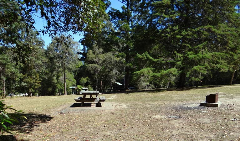 Tyalgum Diggers Campground