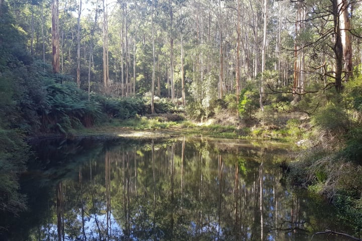 Beauchamp Falls Reserve Campground