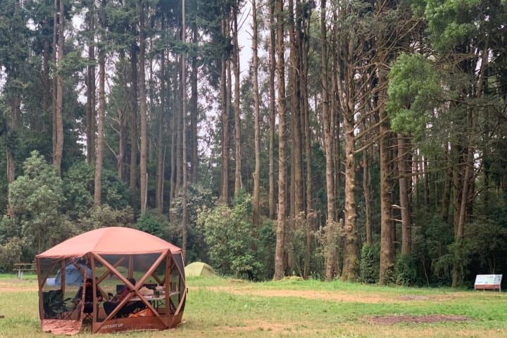 Beauchamp Falls Reserve Campground