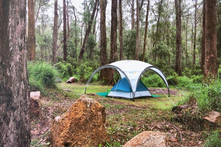 Latrobe River Camping Area