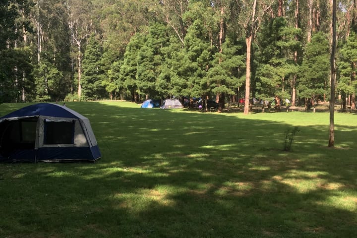 Beauchamp Falls Reserve Campground