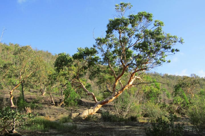 Foxbar Falls Campground